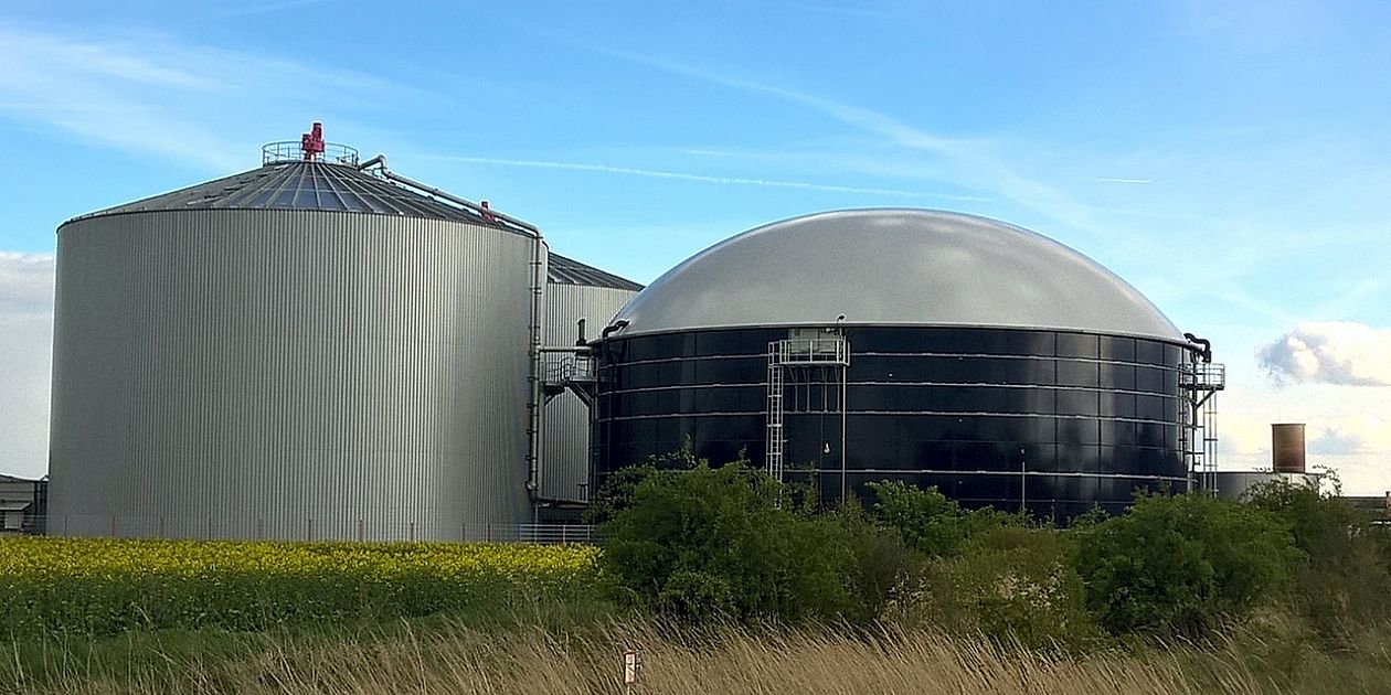 Manure Biogas is All Hat and No Cattle • Center for Animal Law Studies ...