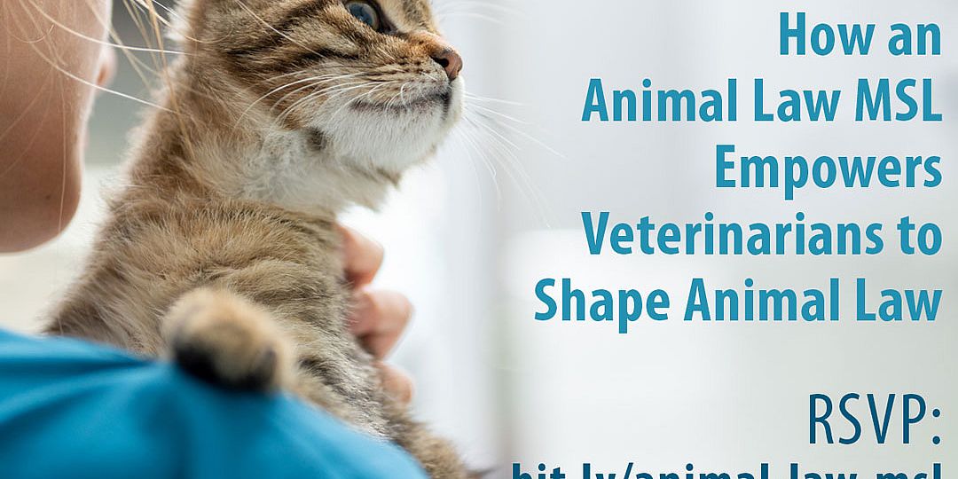 How an Animal Law MSL Empowers Veterinarians to Shape Animal Law • Law ...